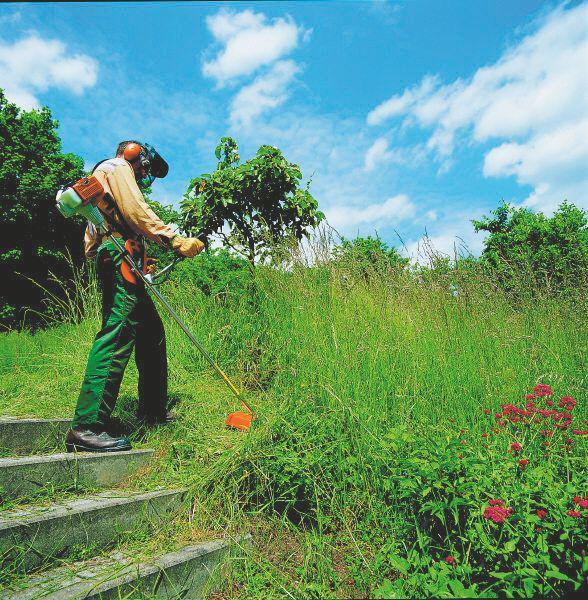 FS 85 | StihlMaster - México