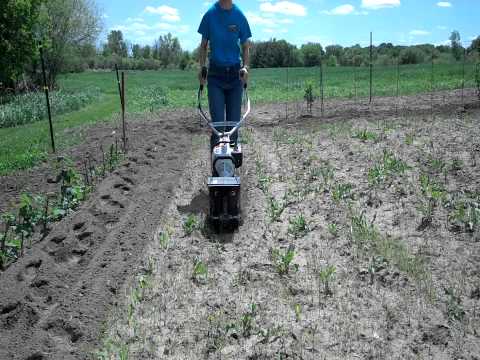 Stihl Yard Boss Cultivating the Garden - STIHL MASTER